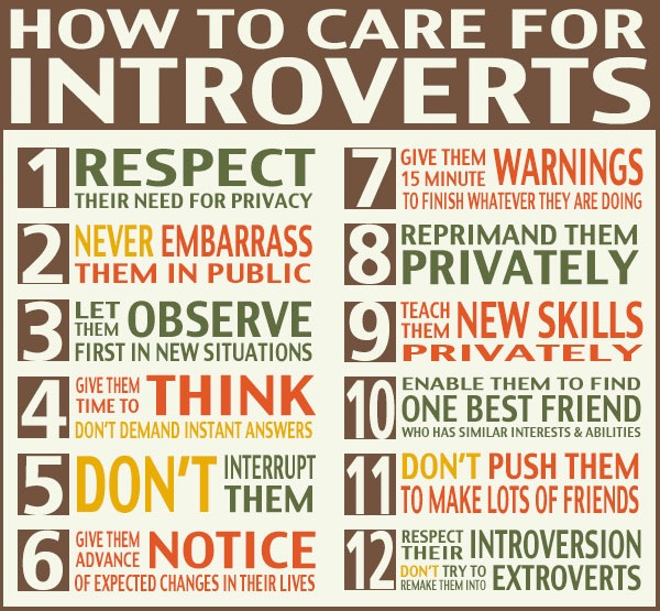 Introverts : The misunderstanding left in the haze! – The Weekly Blog