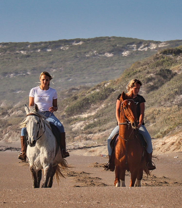 West Coast family outings: Drikus Horse Riding among the best family ...