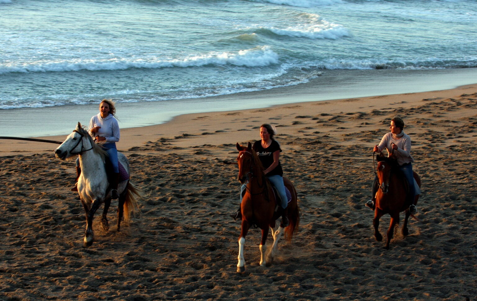 West Coast family outings: Drikus Horse Riding among the best family ...