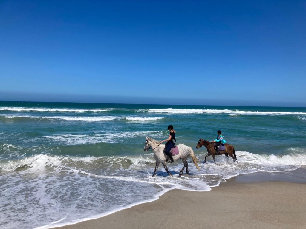 West Coast family outings: Drikus Horse Riding among the best family ...